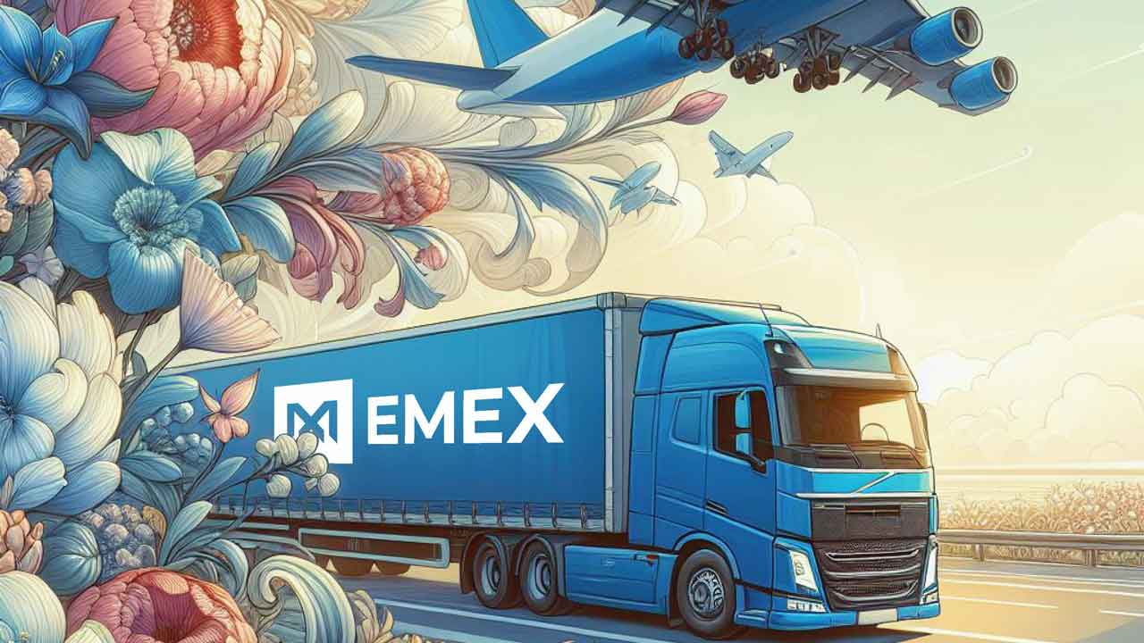 С Международным женским днём! – EMEX